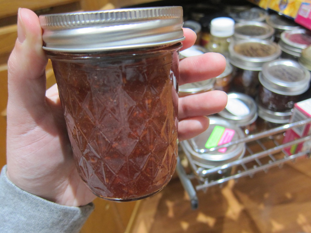 Rhubarb Berry Jam Recipe | Alaska Urban Hippie